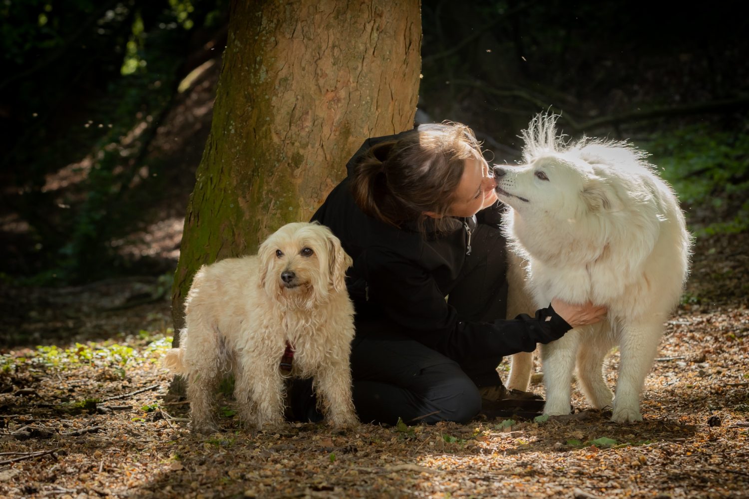 Devenir comportementaliste canin : faire de sa passion un métier